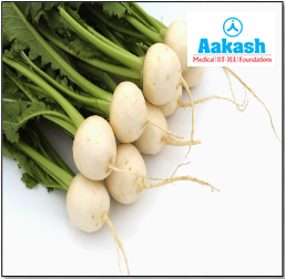 Roots: Function, Modifications & Examples | AESL